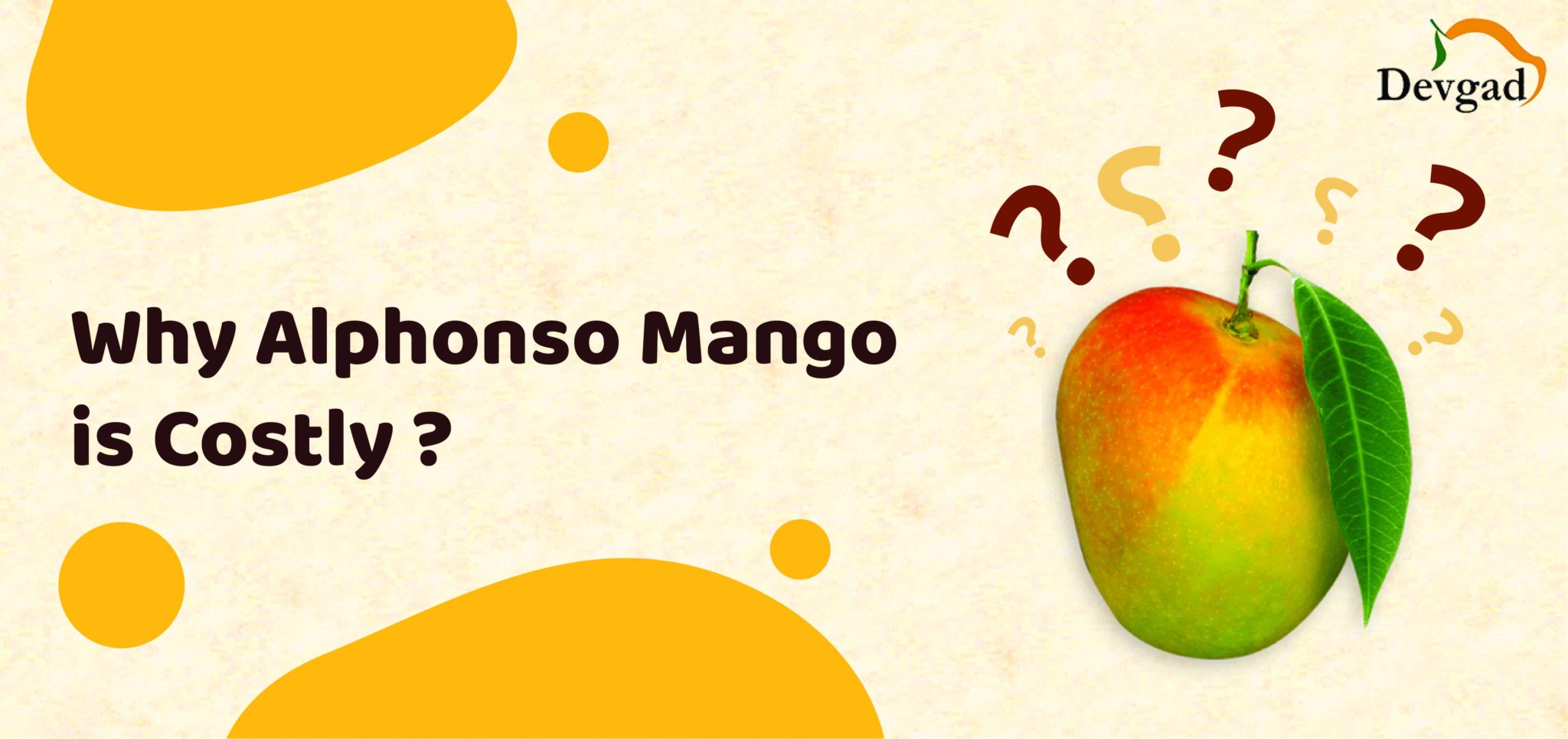 Why Alphonso Mango is Costly – Devgad Mango